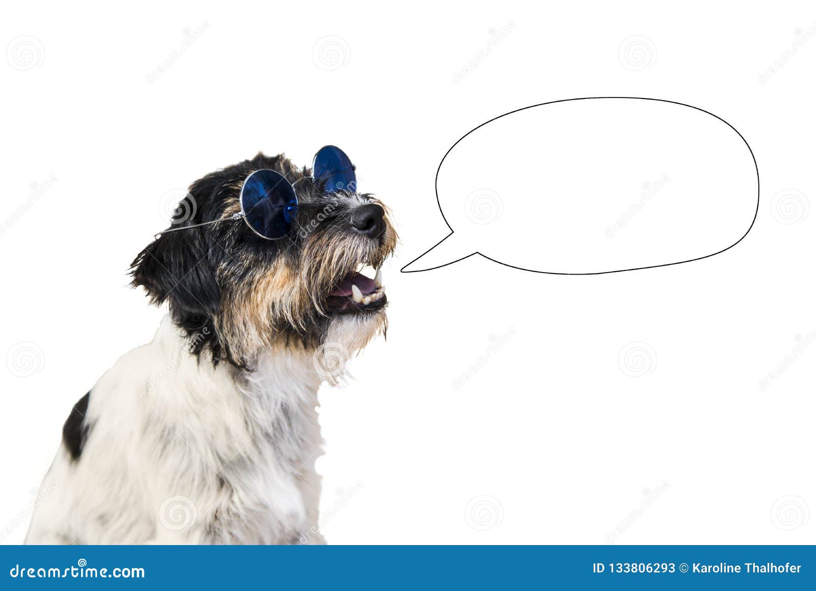 Funn Dog with Empty Speech Bubble Stock Image - Image of costume ...