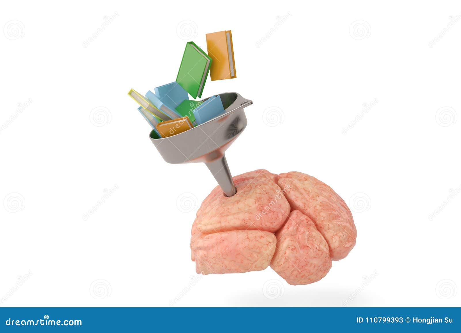 Funnel with Books Adn the Brain.3D Illustration. Stock Illustration ...