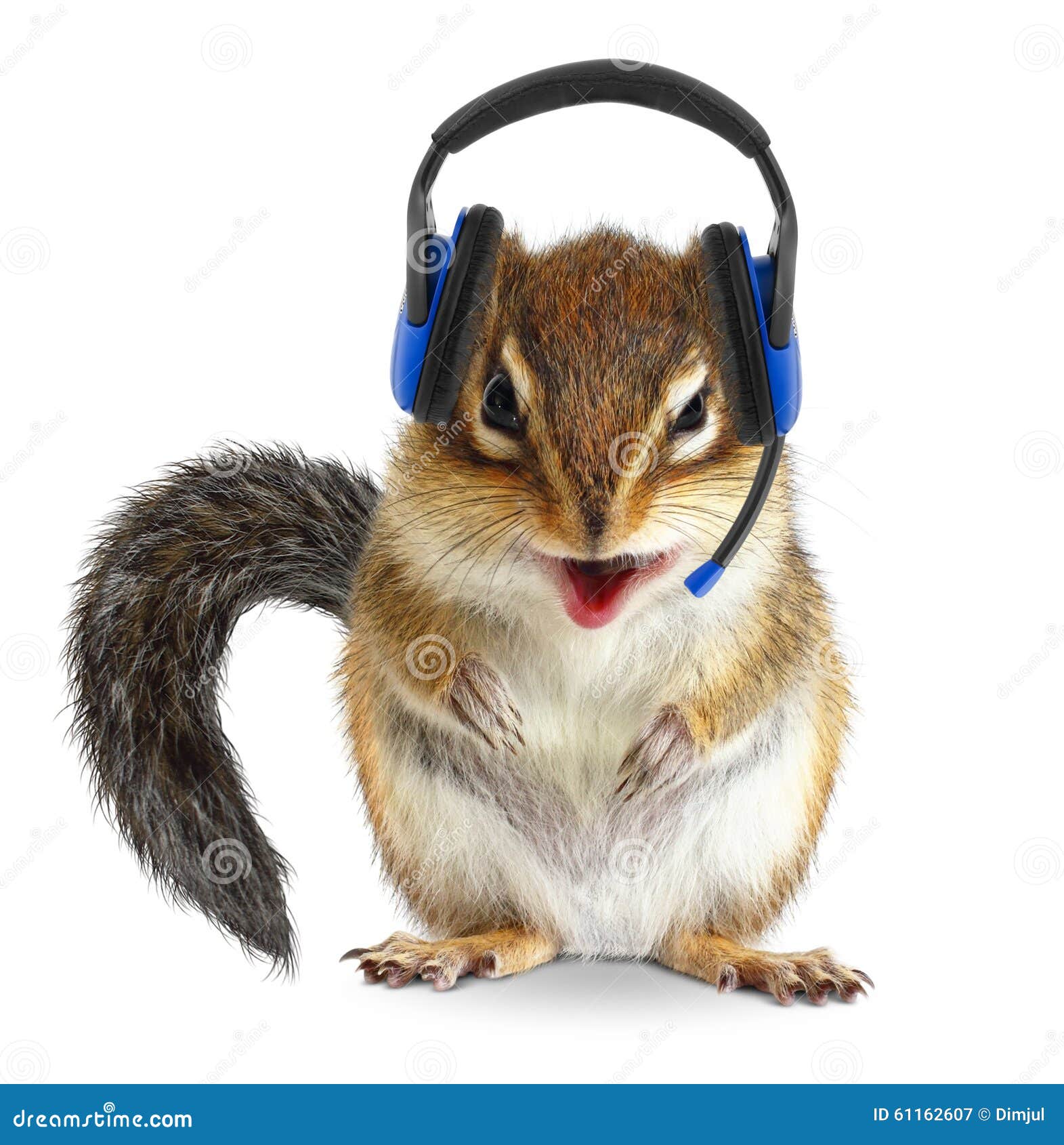 Chipmunk Squirrel Headphones Blue