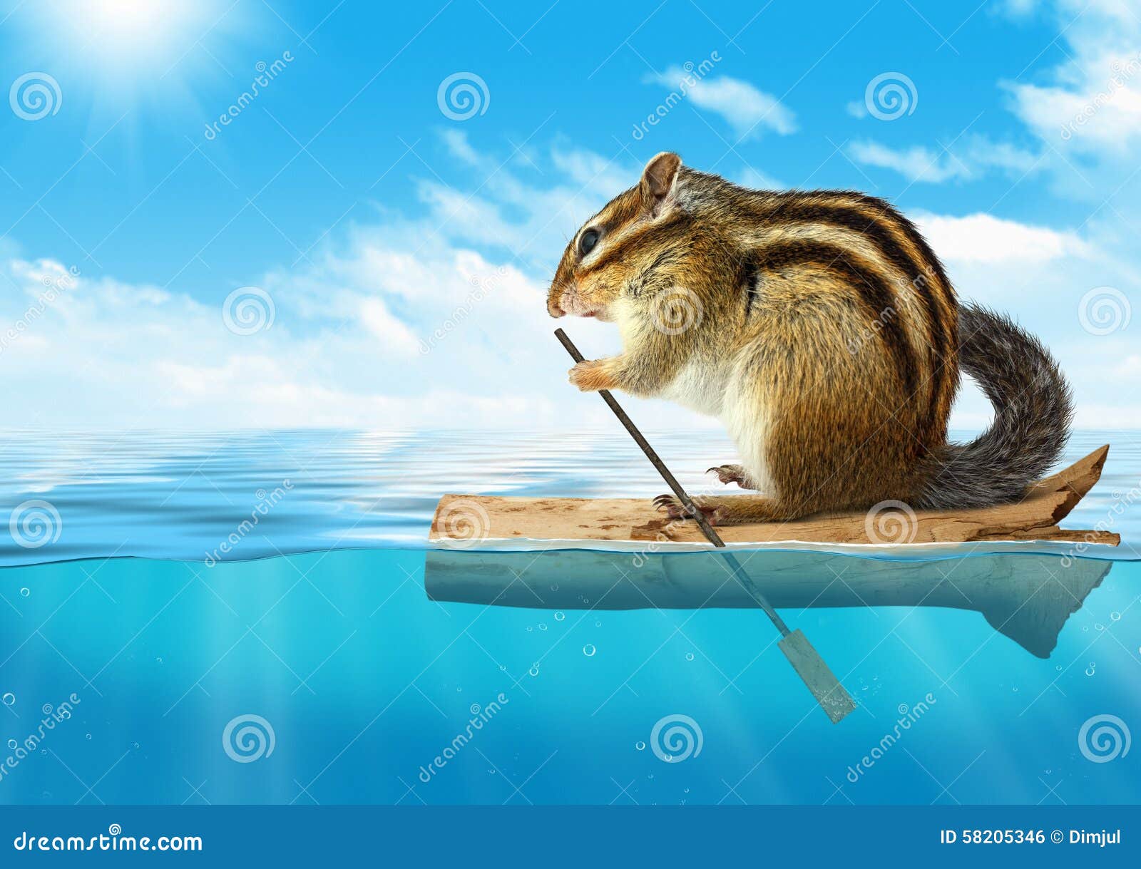 Funny Animal, Chipmunk Floating at Ocean, Travel Concept Stock Photo ...