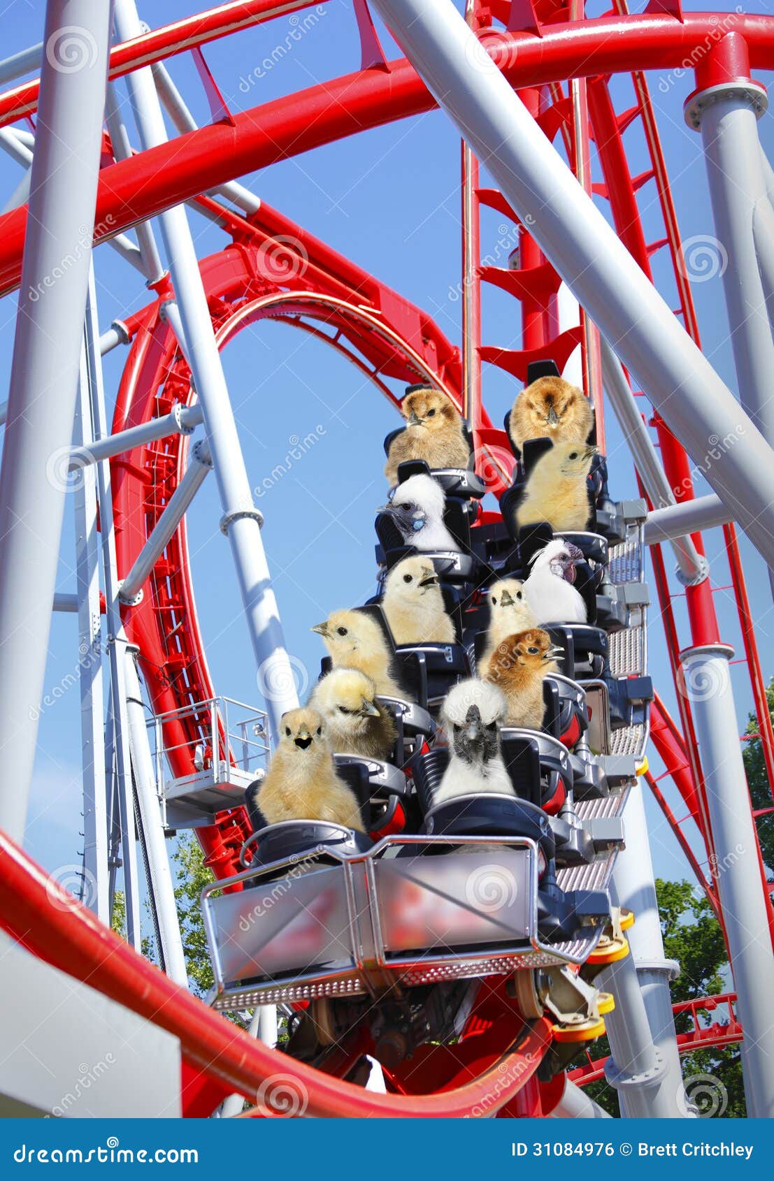 Funny Animal Roller Coaster Royalty Free Stock Image - Image: 31084976