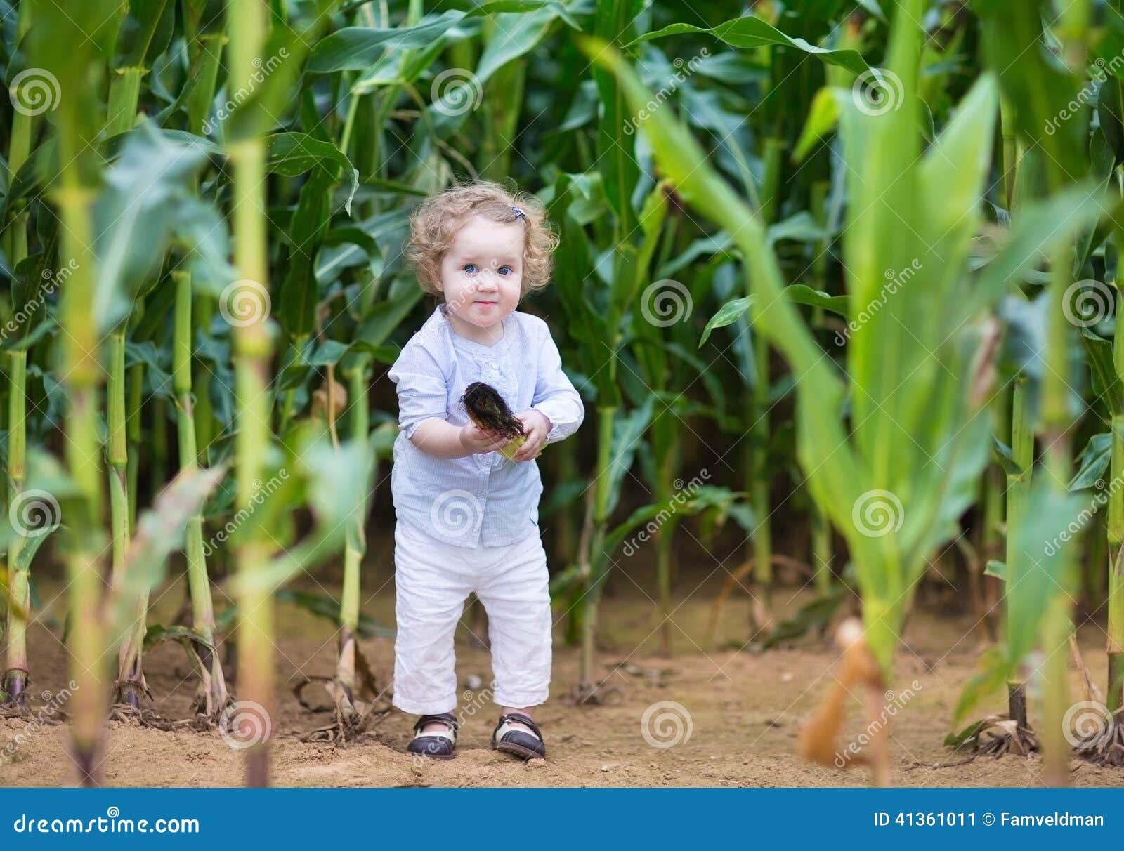 Funny Baby Girl and Hiding in a Corn Field Stock Image - Image of ...