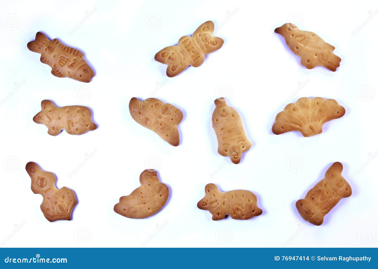 Funny biscuits stock photo. Image of cookies, animals - 76947414