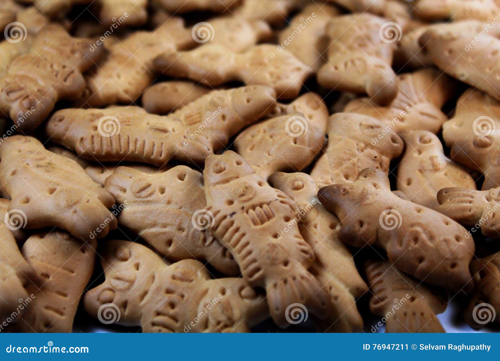 Funny biscuits stock image. Image of biscuit, confectionary - 76947211