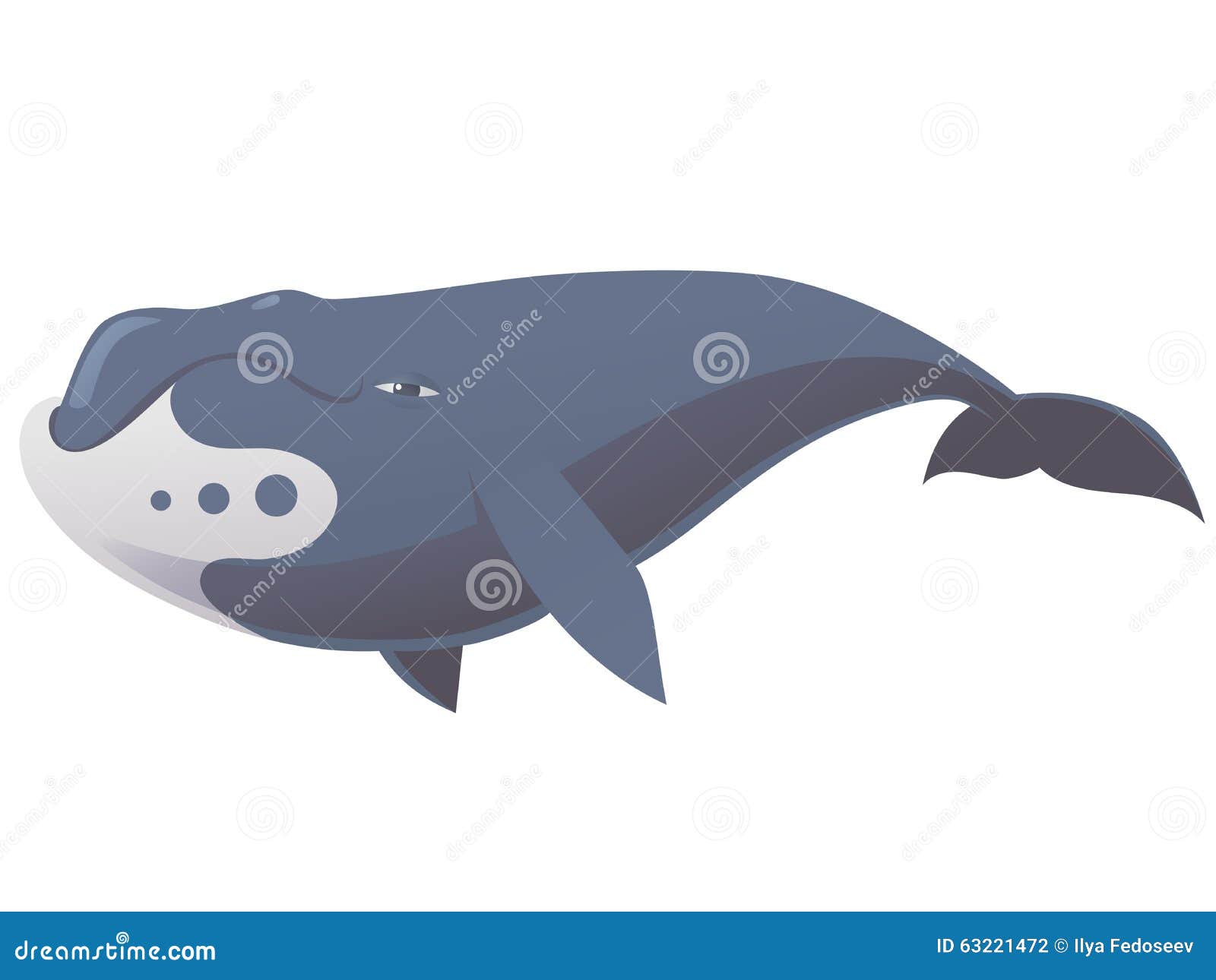 The Bowhead Whale. Arctic Animals. Flat Style Illustration ...