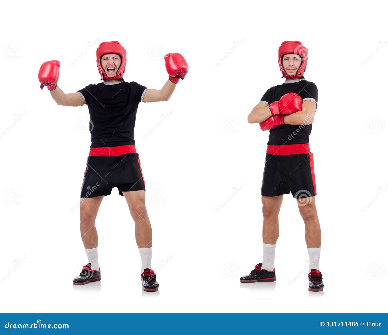 The Funny Boxer Isolated on the White Stock Photo - Image of humourous ...
