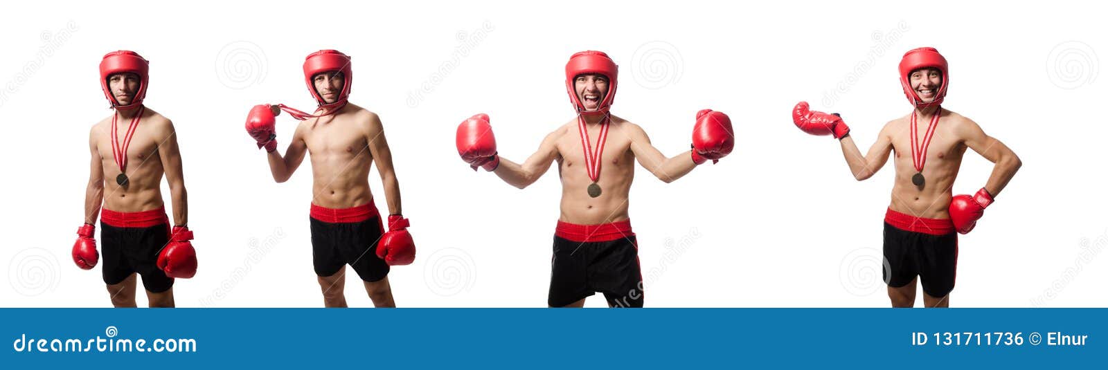 The Funny Boxer Isolated on the White Stock Photo - Image of champion ...