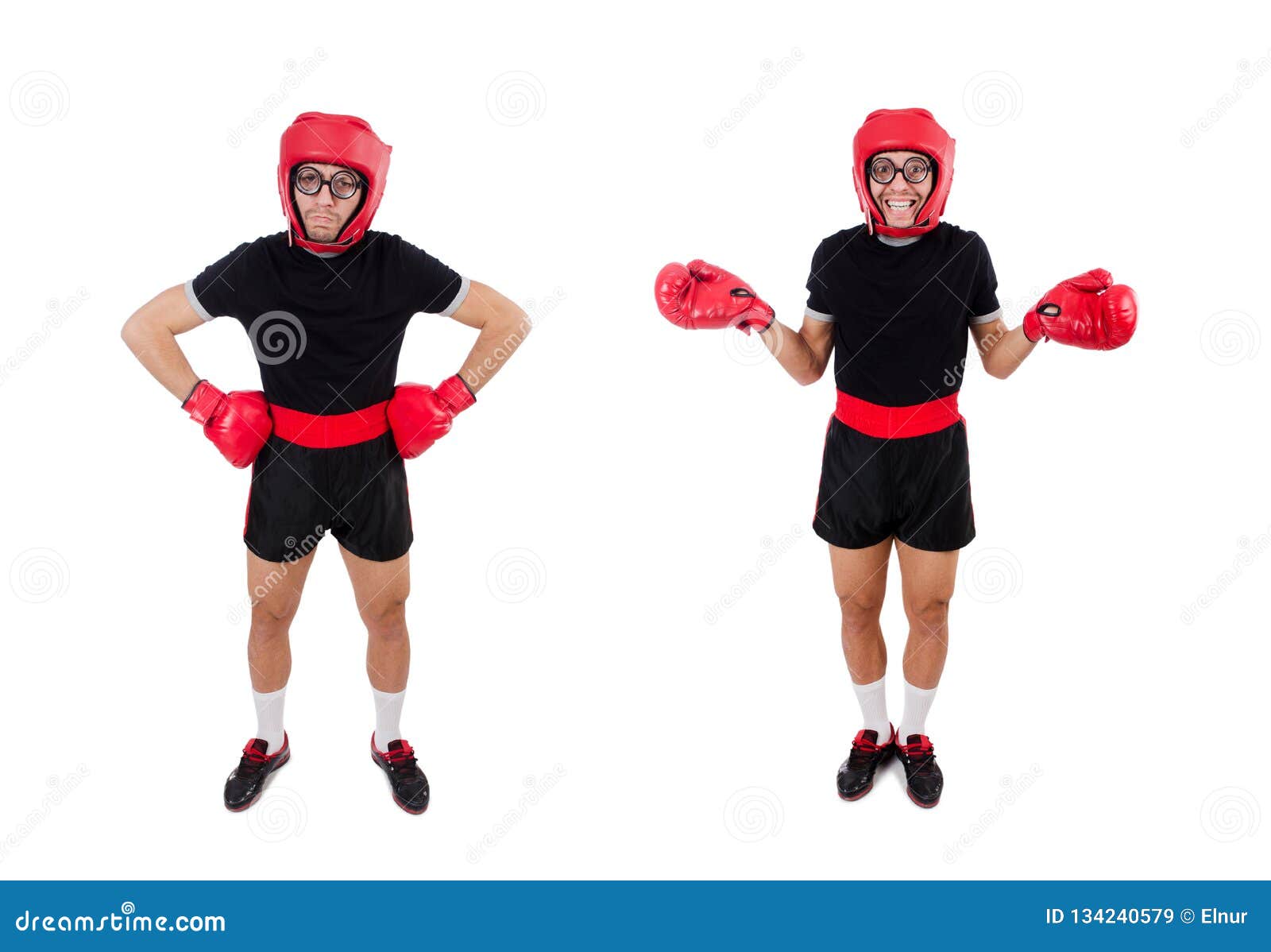 The Funny Boxer Isolated on the White Stock Image - Image of funny ...