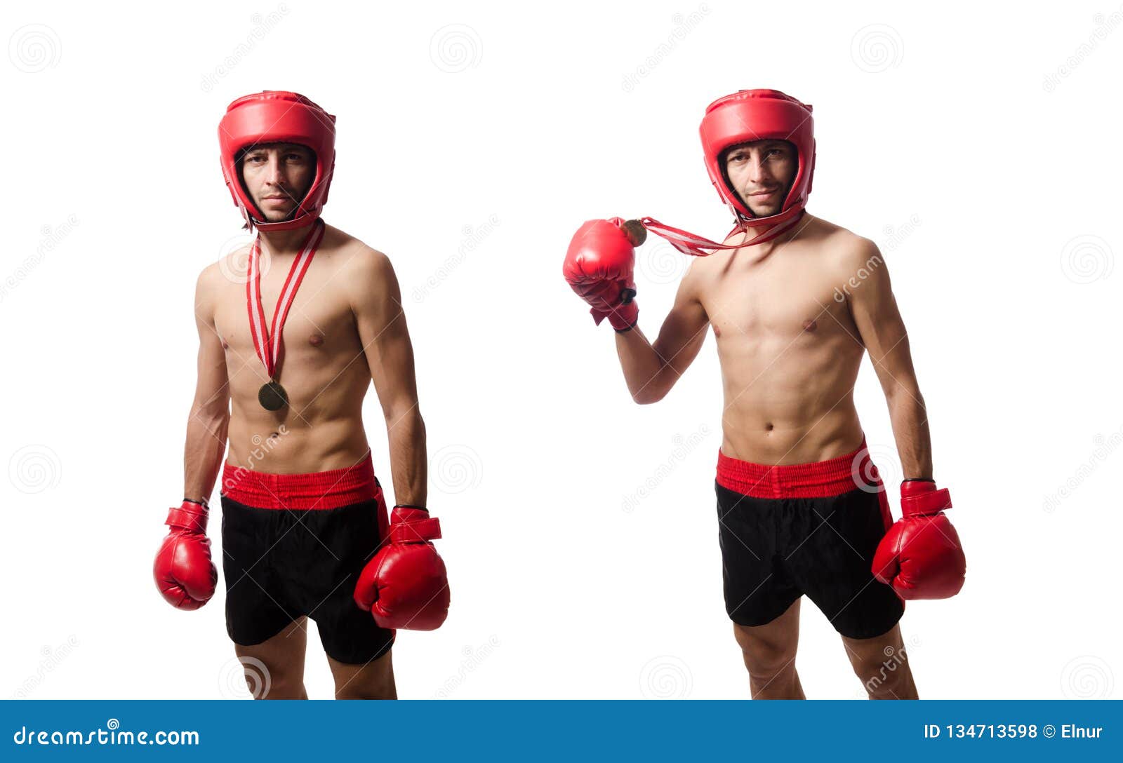 The Funny Boxer Isolated on the White Stock Photo - Image of humourous ...