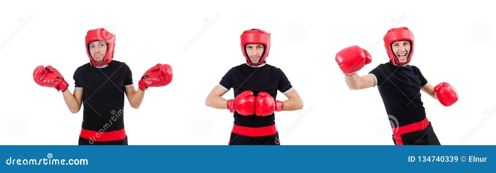 The Funny Boxer Isolated on the White Stock Image - Image of arts ...