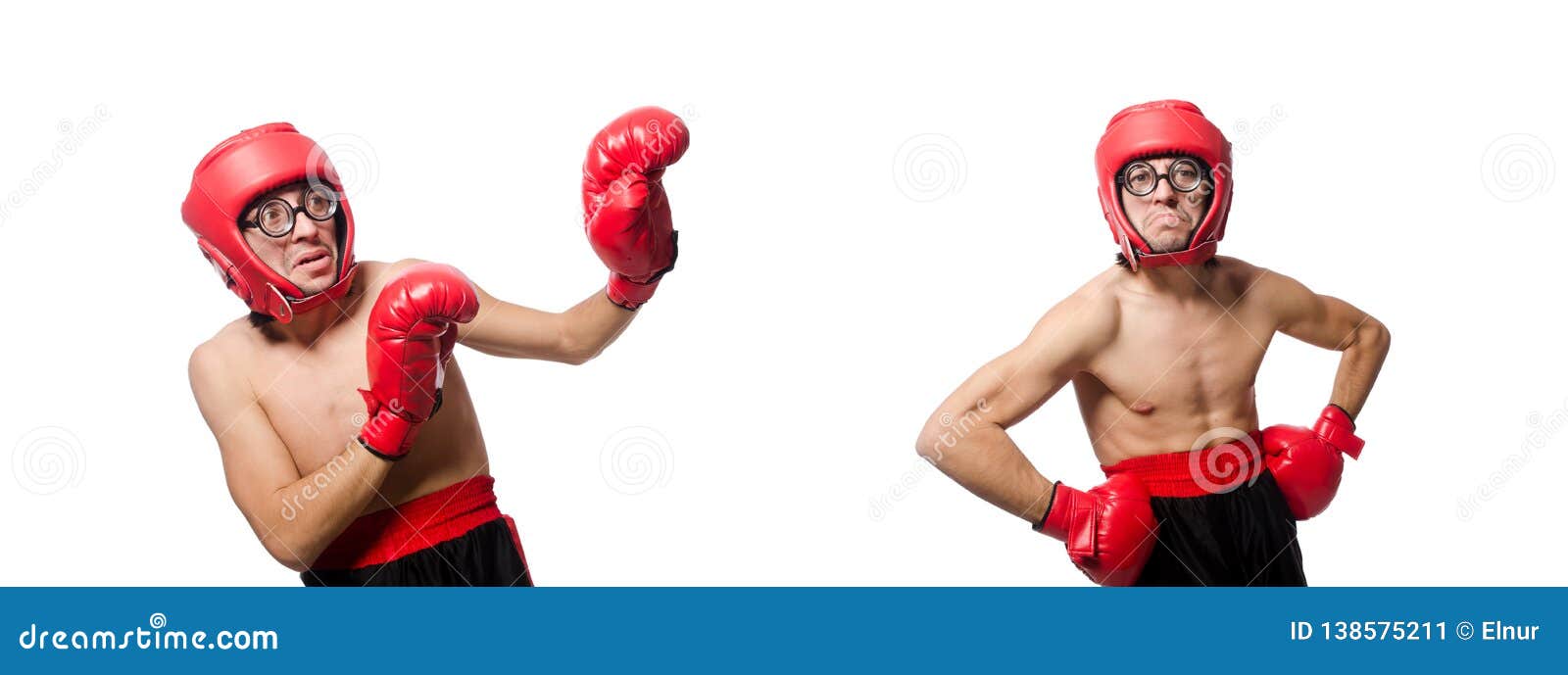 The Funny Boxer Isolated on the White Stock Image - Image of collage ...