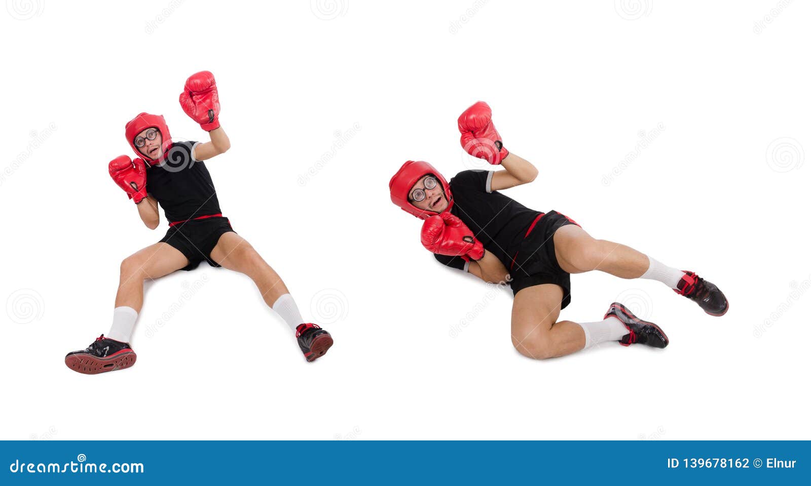 The Funny Boxer Isolated on the White Stock Photo - Image of isolated ...
