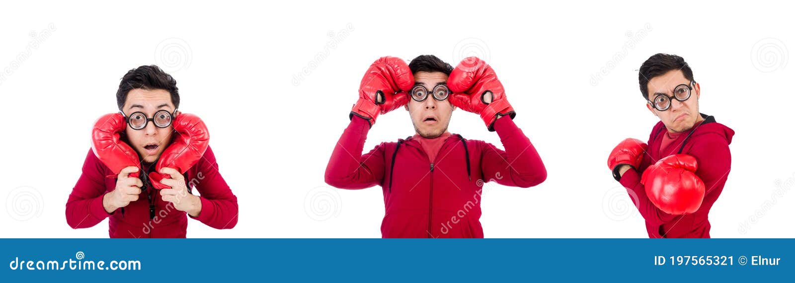 Funny Boxer Isolated on White Stock Image - Image of conflict, humour ...