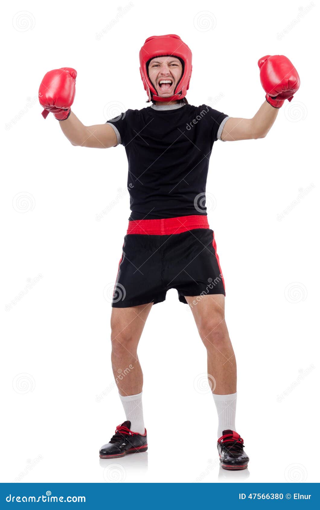 Funny boxer isolated stock photo. Image of healthy, furious - 47566380