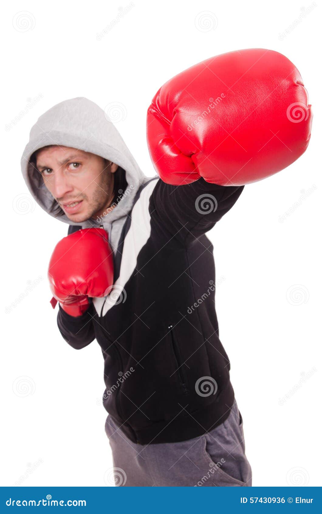 Funny Boxer Isolated on White Stock Photo - Image of irate, fight: 57430936