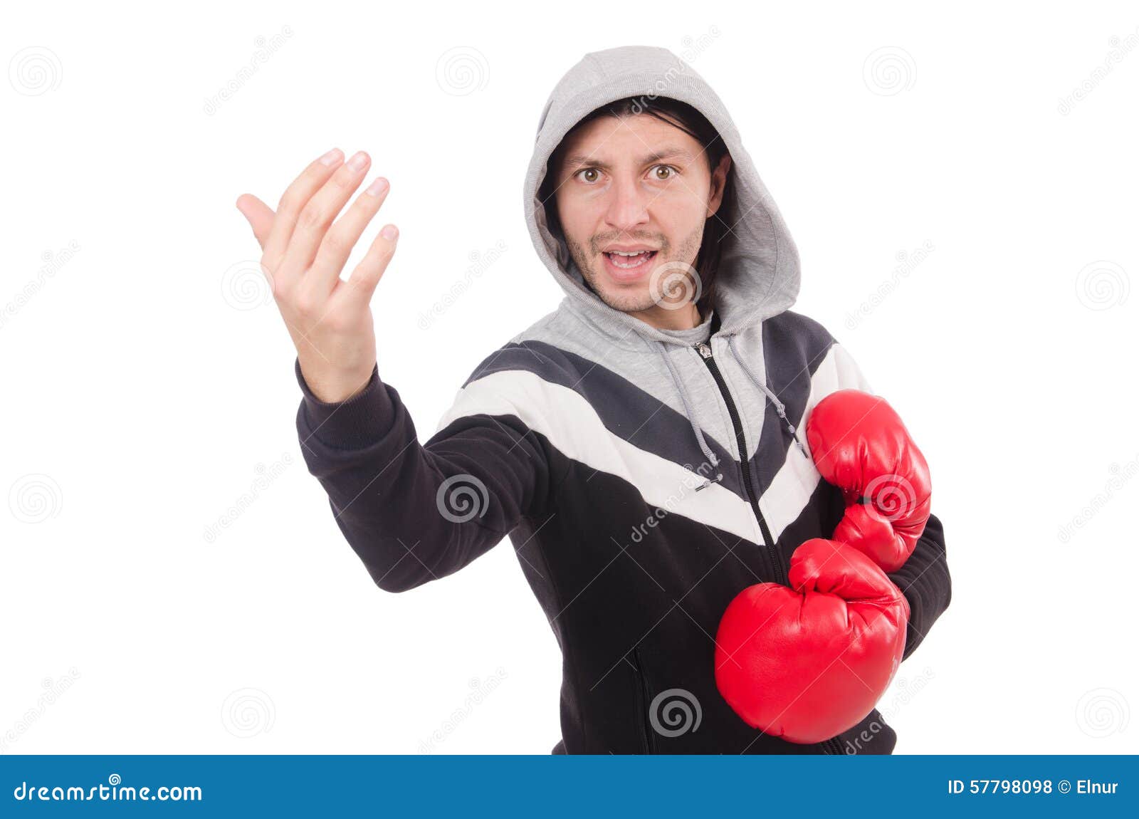 Funny Boxer Isolated on the White Stock Photo - Image of anger, boxer ...