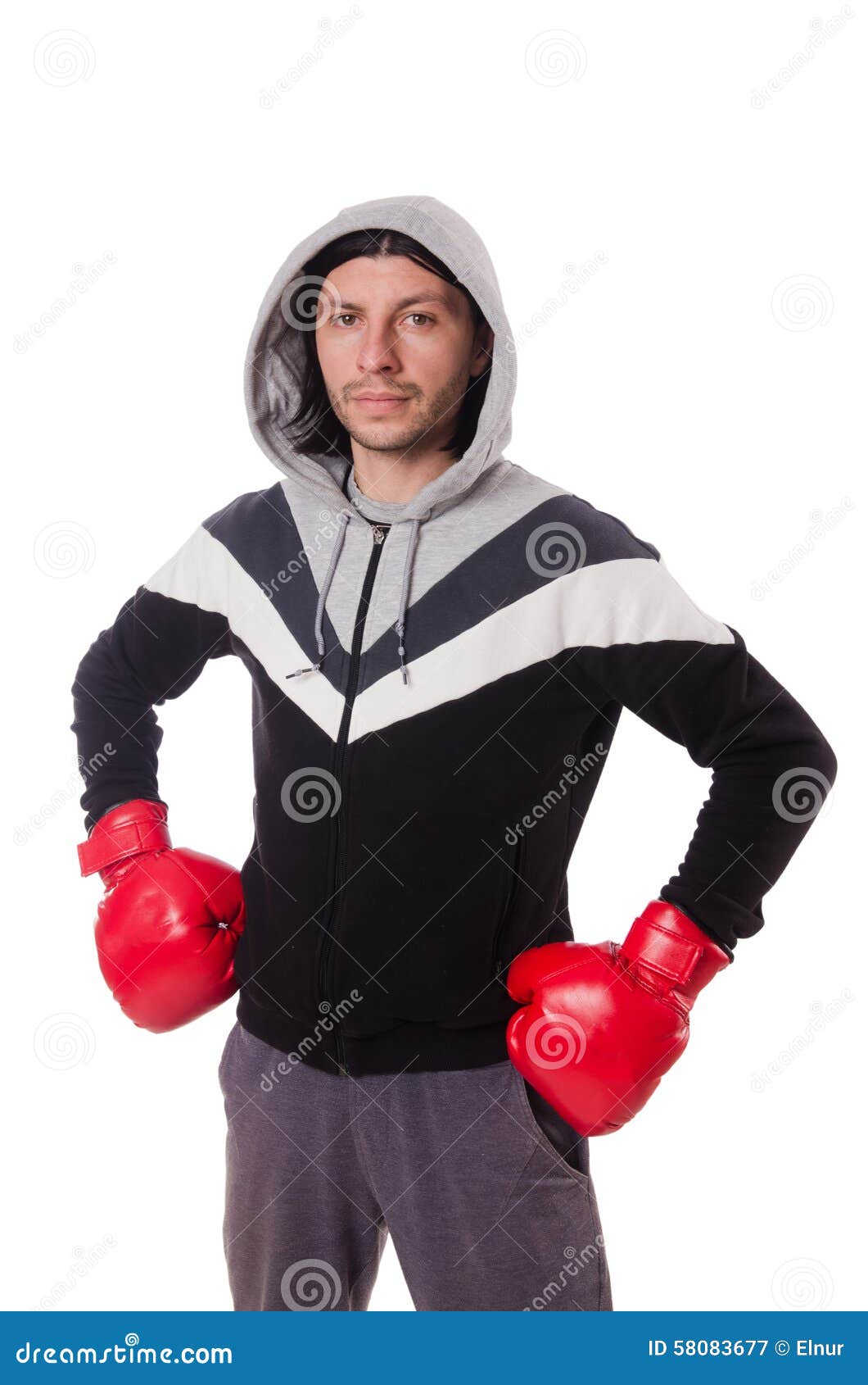 Funny Boxer Isolated on the White Stock Image - Image of angry, hand ...