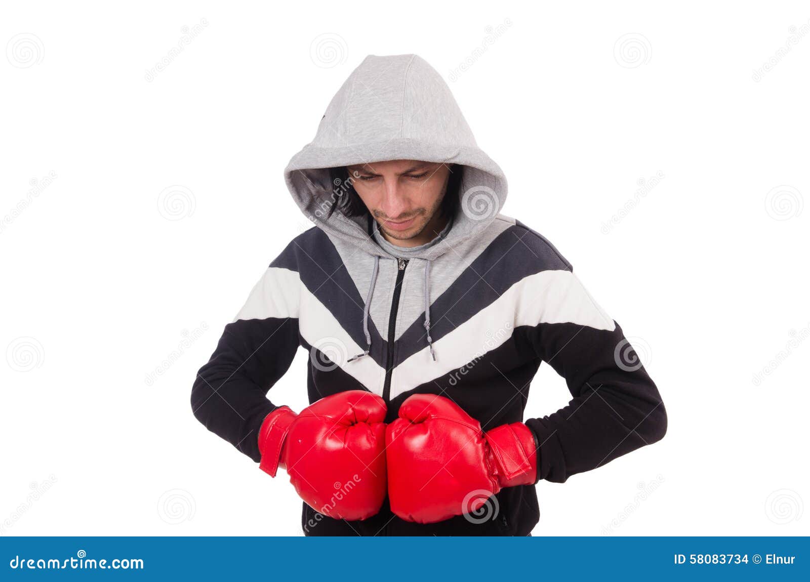Funny Boxer Isolated on the White Stock Photo - Image of irate ...