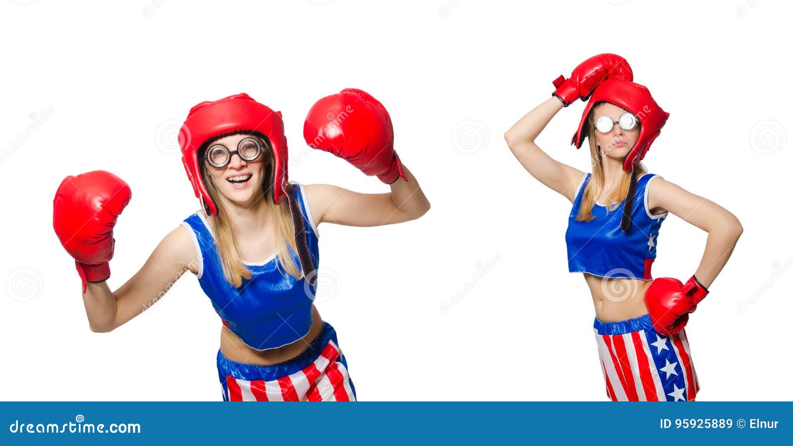 The Funny Boxer Isolated on White Stock Image - Image of humorous ...