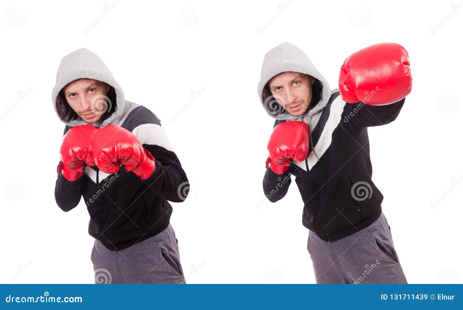 The Funny Boxer Isolated on the White Stock Image - Image of humor ...
