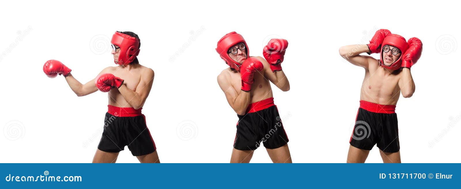 The Funny Boxer Isolated on the White Stock Photo - Image of ...