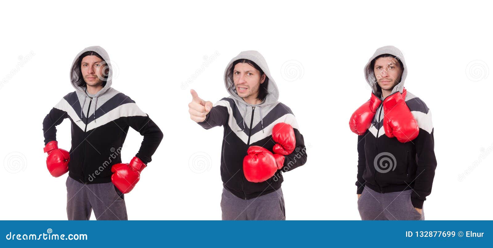 The Funny Boxer Isolated on the White Stock Image - Image of angry ...