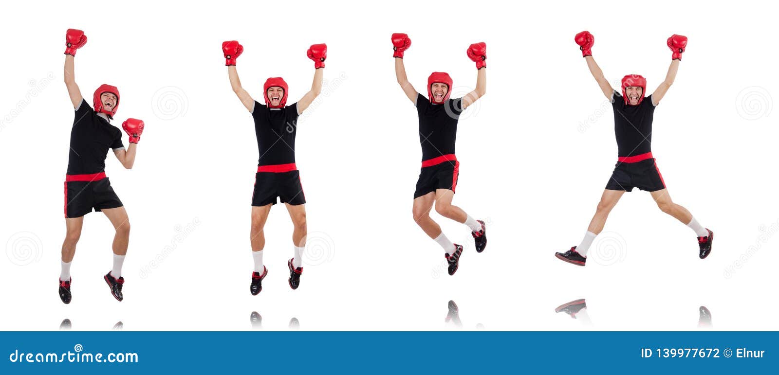 The Funny Boxer Isolated on the White Stock Photo - Image of gloves ...