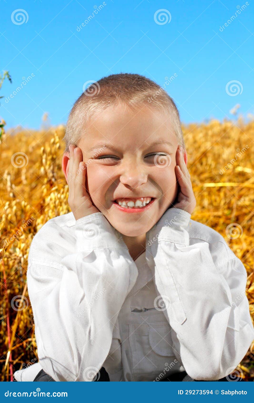 Funny Boy in the Field stock photo. Image of grass, child - 29273594