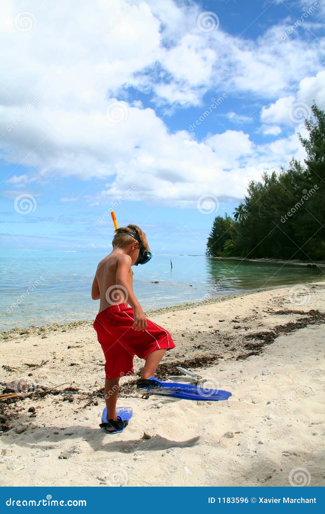 Funny Boy Walking with Fins Stock Photo - Image of sand, snorkel: 1183596