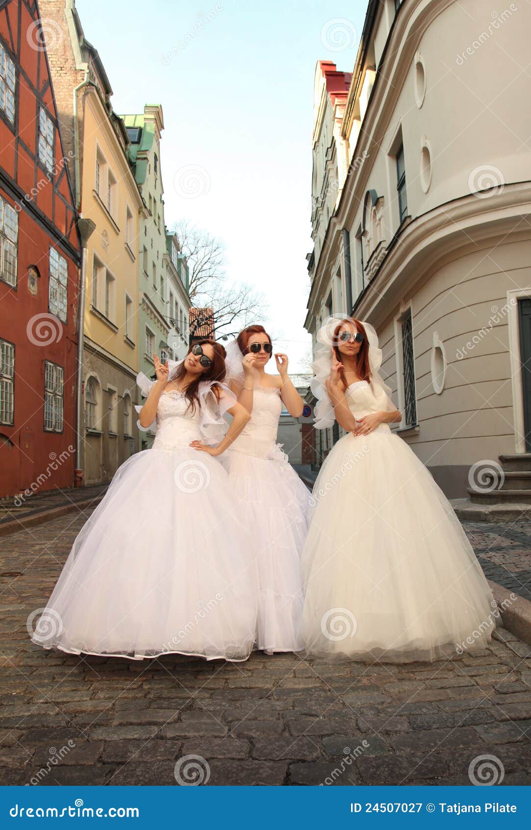 Funny brides stock image. Image of glass, outdoors, hair - 24507027