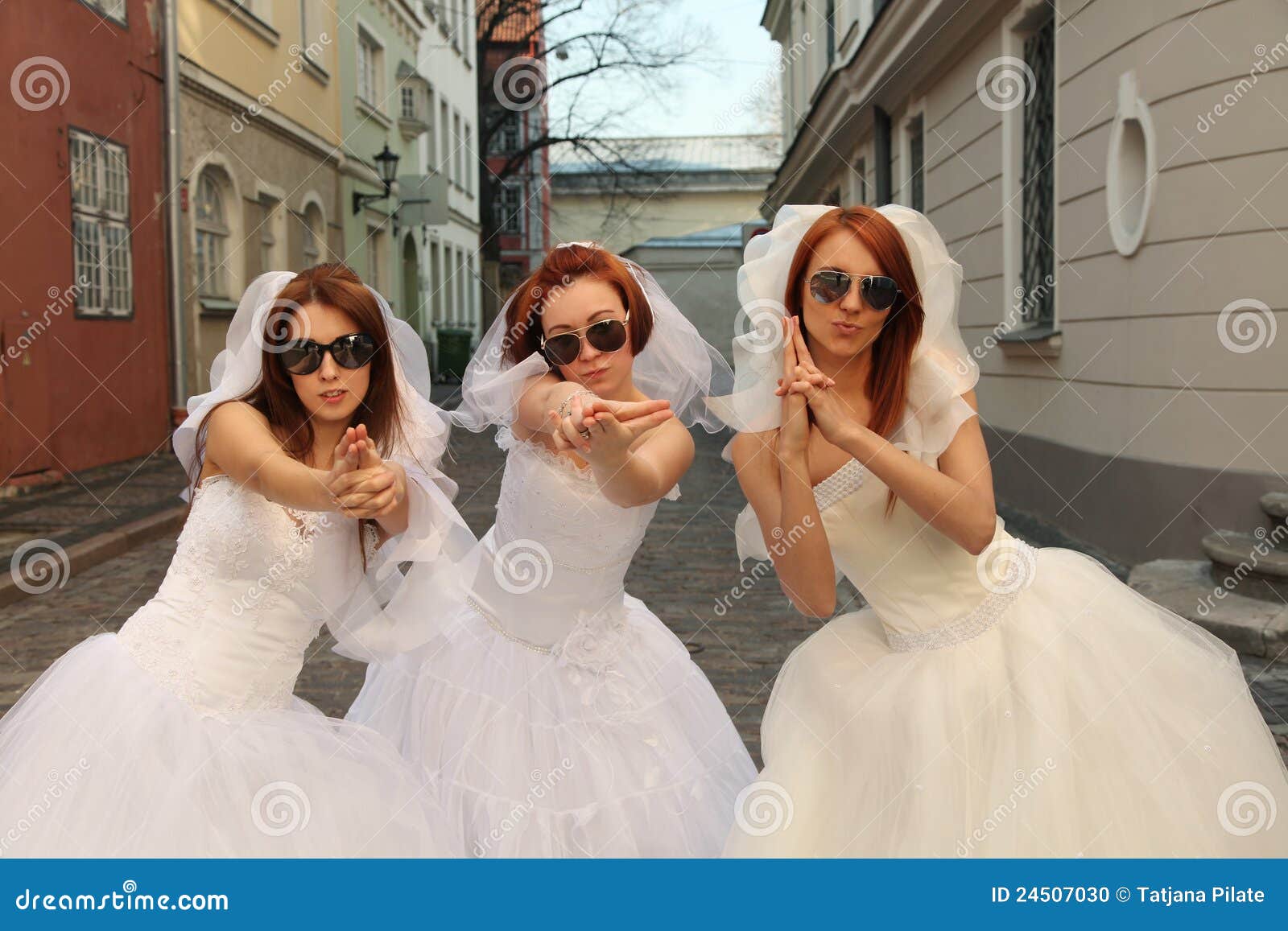 Funny brides stock photo. Image of cute, bride, fashioned - 24507030