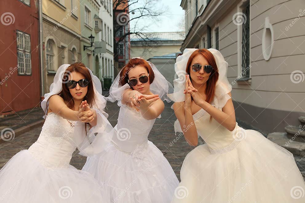 Funny brides stock photo. Image of cute, bride, fashioned - 24507030