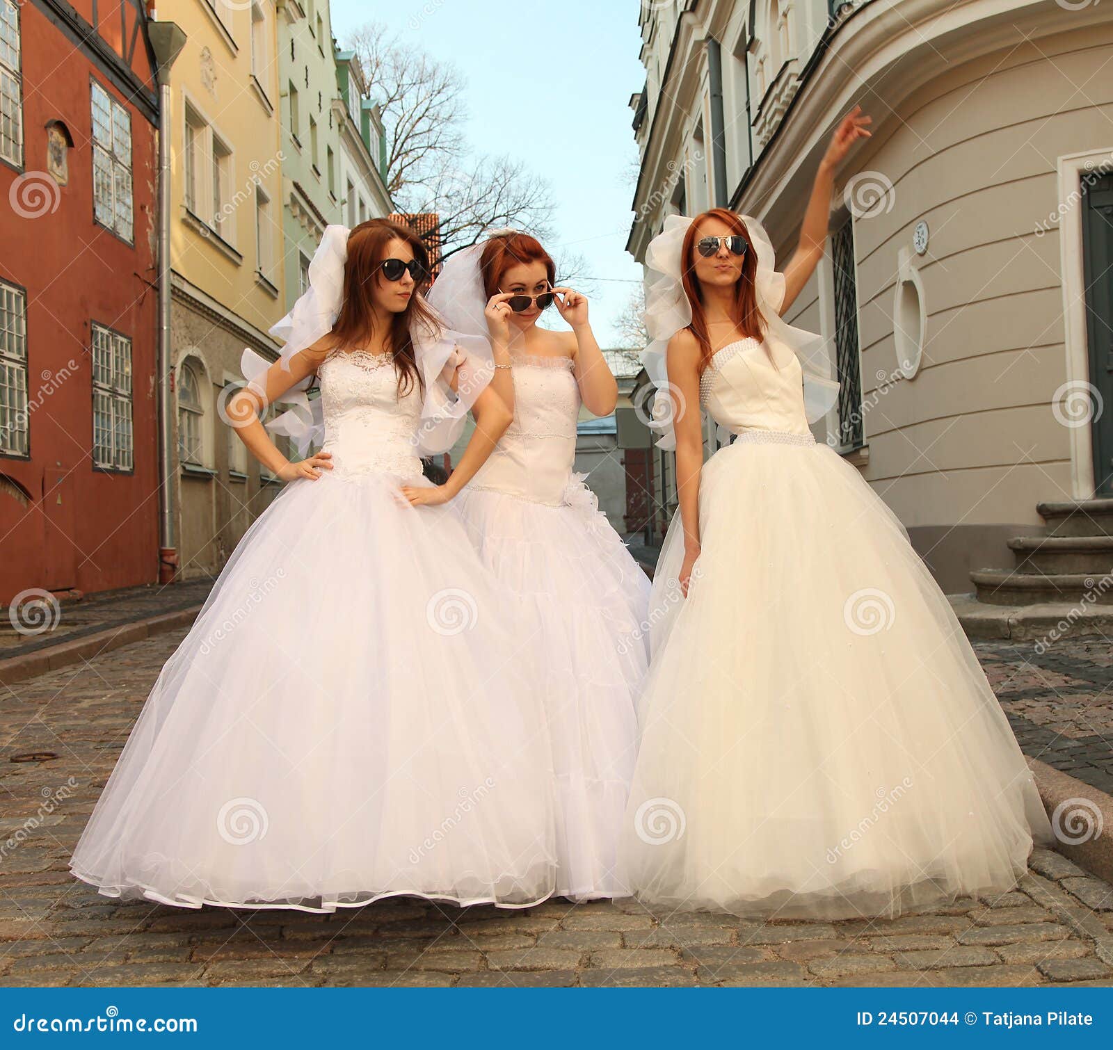 Funny brides stock photo. Image of beauty, cheerful, fashion - 24507044