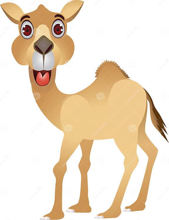Funny camel cartoon stock vector. Illustration of descriptive - 23270858