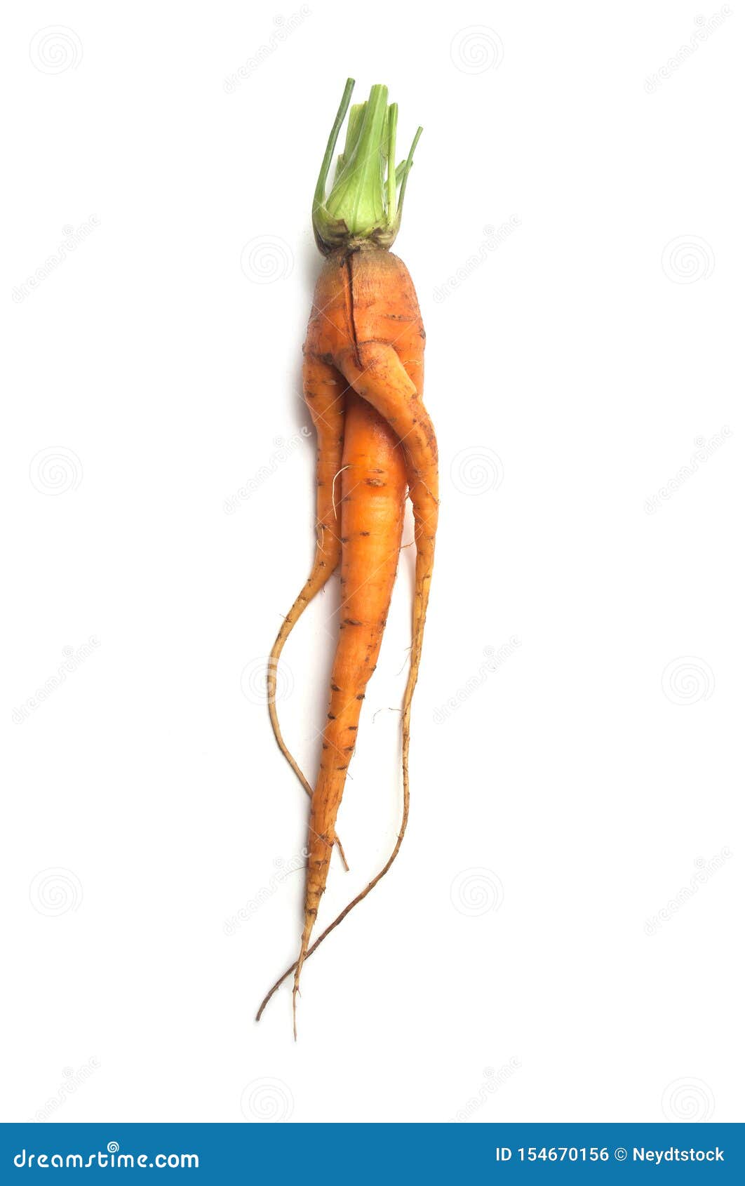Funny Carrot With Hands, Eyes And Hat. Carrots Are Standing In A Pot ...