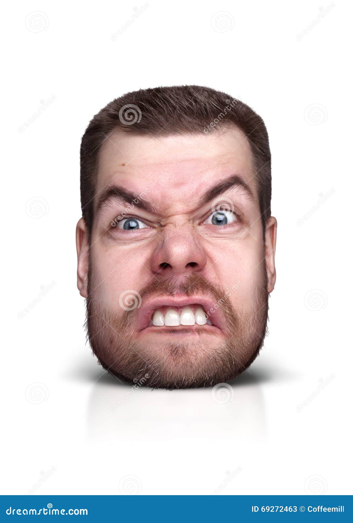 Funny cartoon portrait stock image. Image of square, cheerful - 69272463
