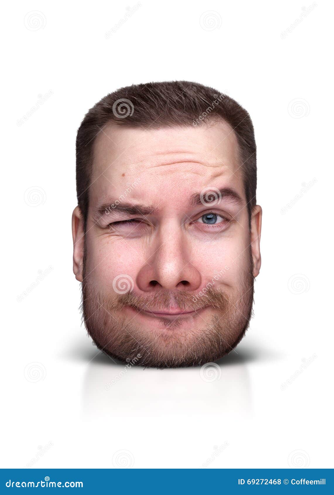 Funny cartoon portrait stock photo. Image of color, laugh - 69272468