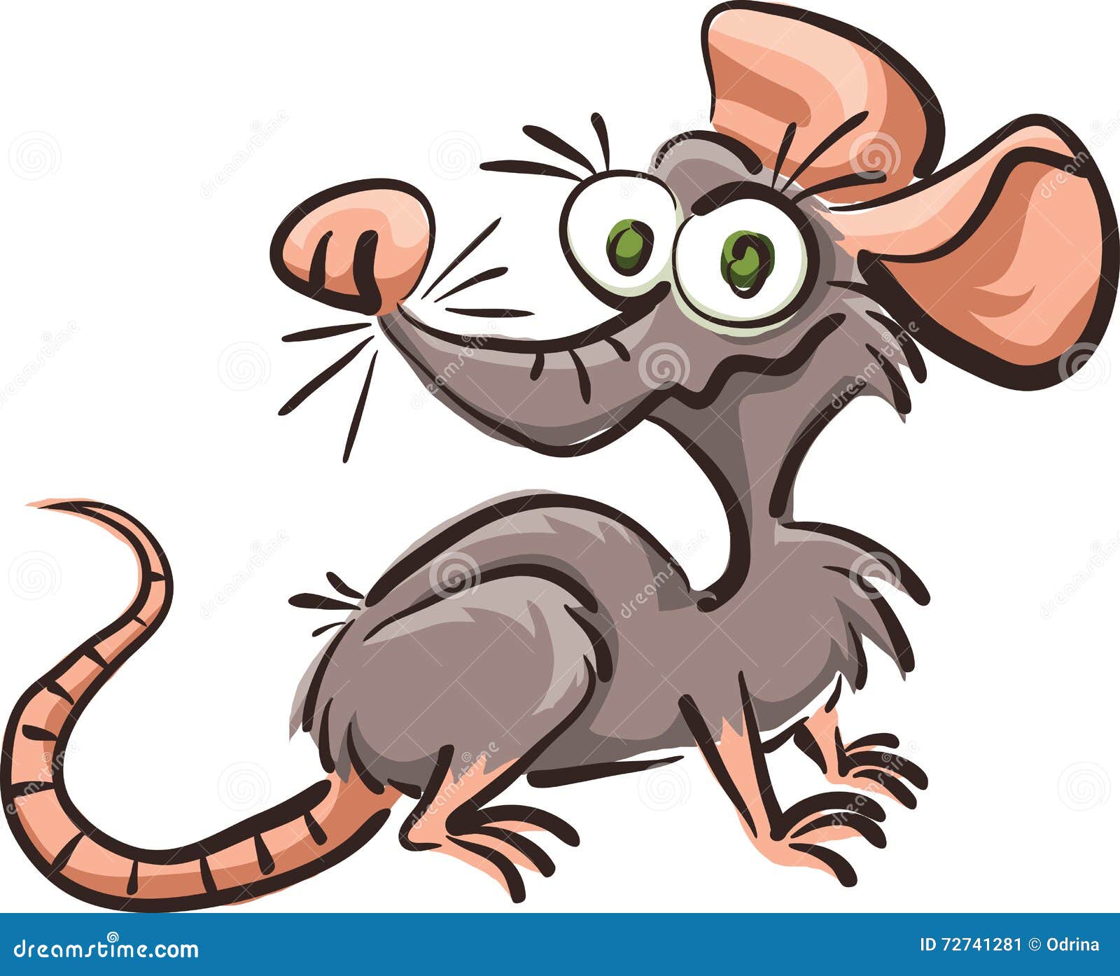 Funny cartoon rat stock vector. Illustration of snout - 72741281