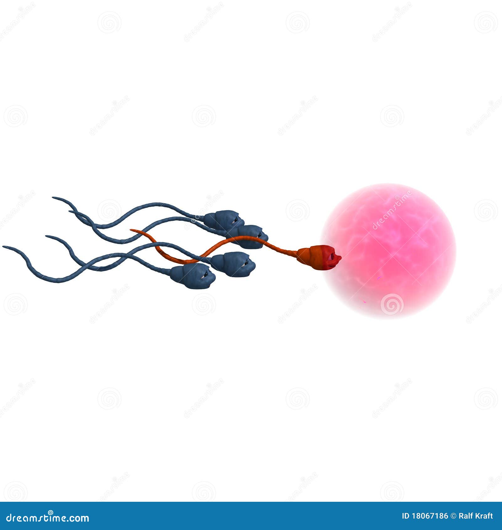 Funny Cartoon Rendering of Sperm Stock Illustration - Illustration of ...