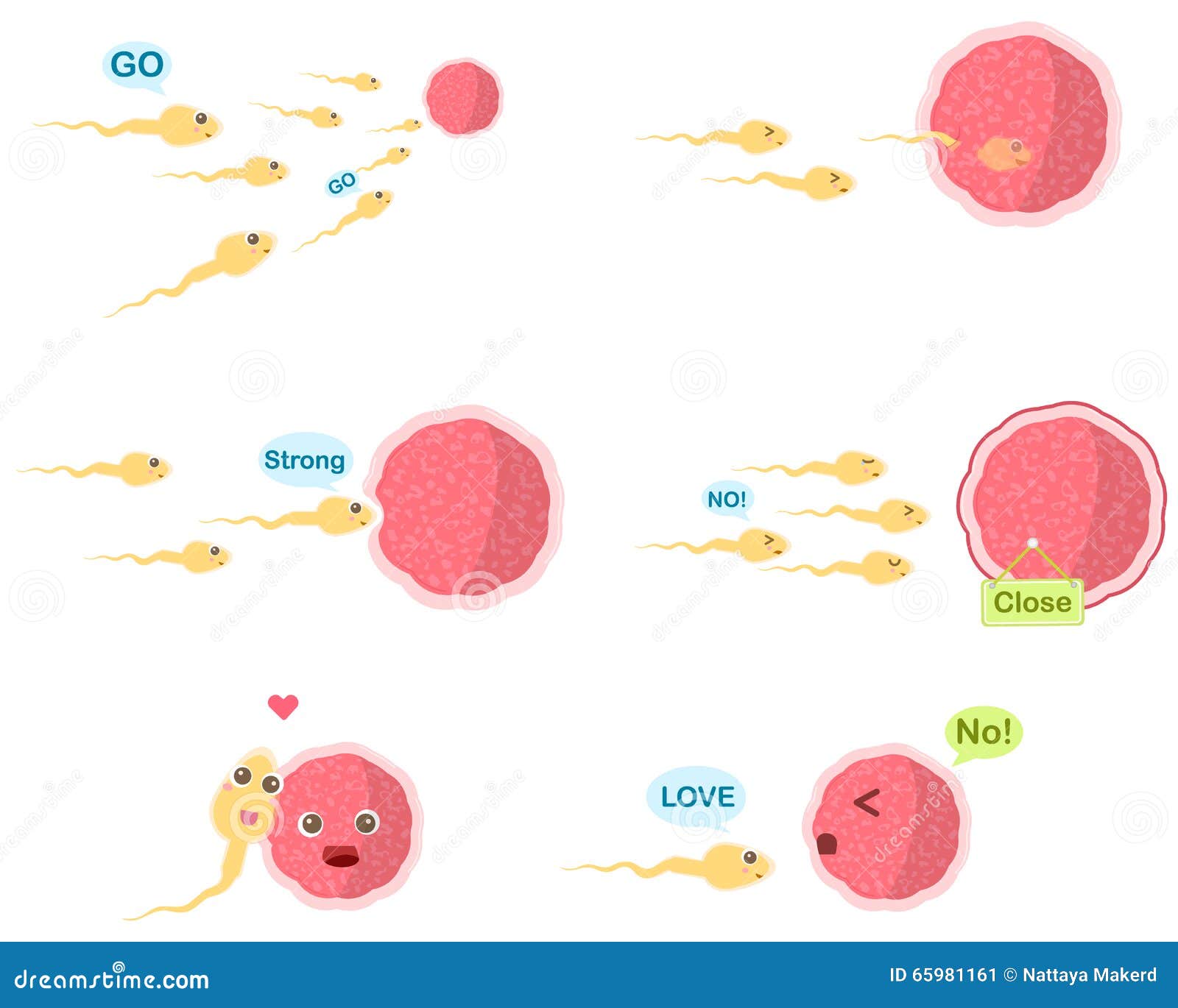 Funny Cartoon Sperm and an Egg Representing a Couple Stock Vector ...