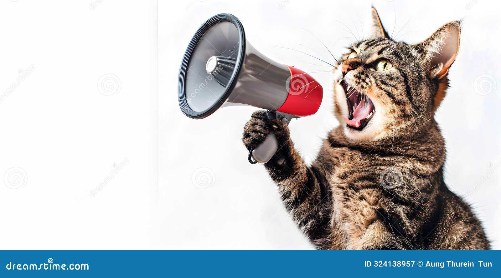 A Funny Cat Announcing with a Megaphone Stock Image - Image of teeth ...