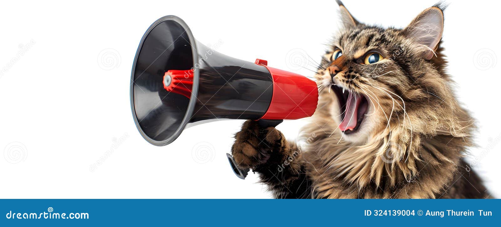 A Funny Cat Announcing with a Megaphone Stock Photo - Image of creative ...