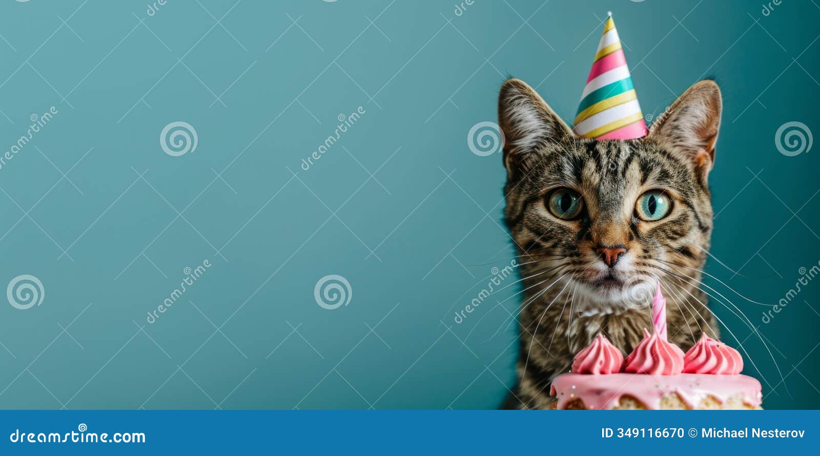 Funny Cat in a Birthday Hat with a Birthday Cake. Copy Space for Text ...