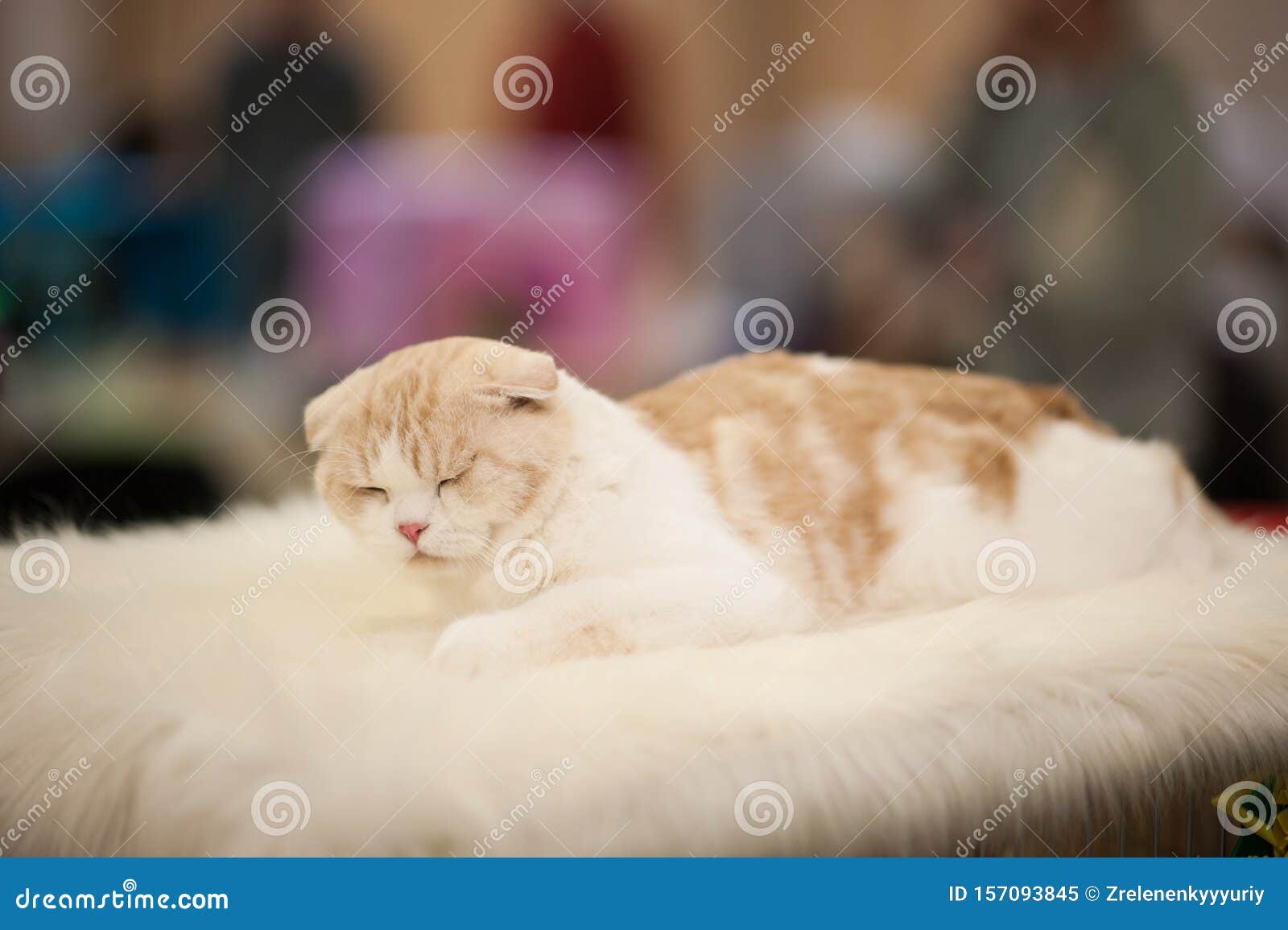 Grouty Stock Photos - Free & Royalty-Free Stock Photos from Dreamstime