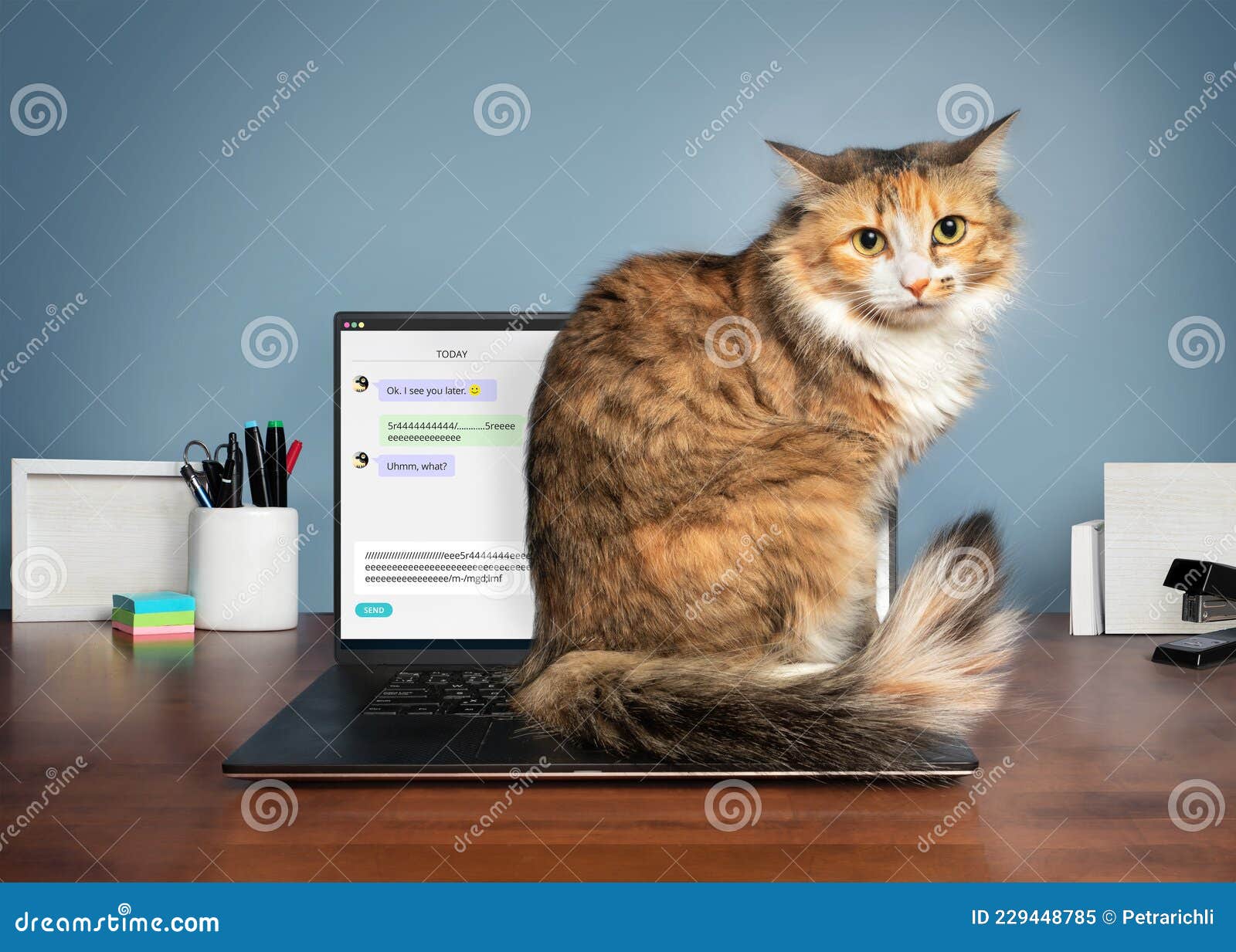 Cat Texting Cryptic Message while Sitting on Laptop Keyboard Stock ...