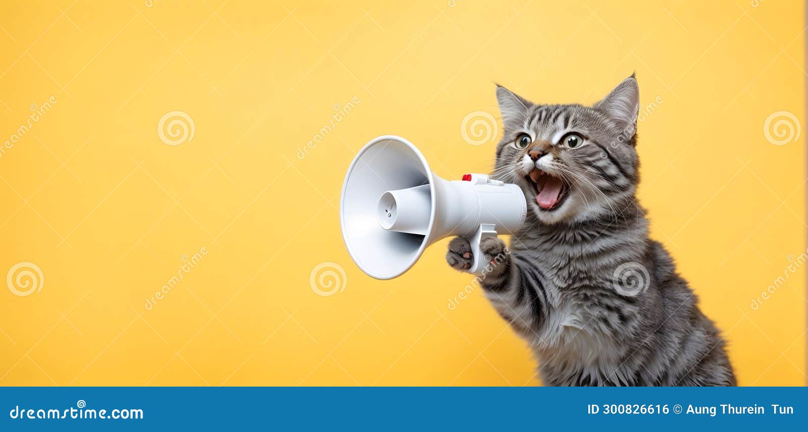 A Funny Cat Holding a Loudspeaker and Screaming Stock Photo - Image of ...