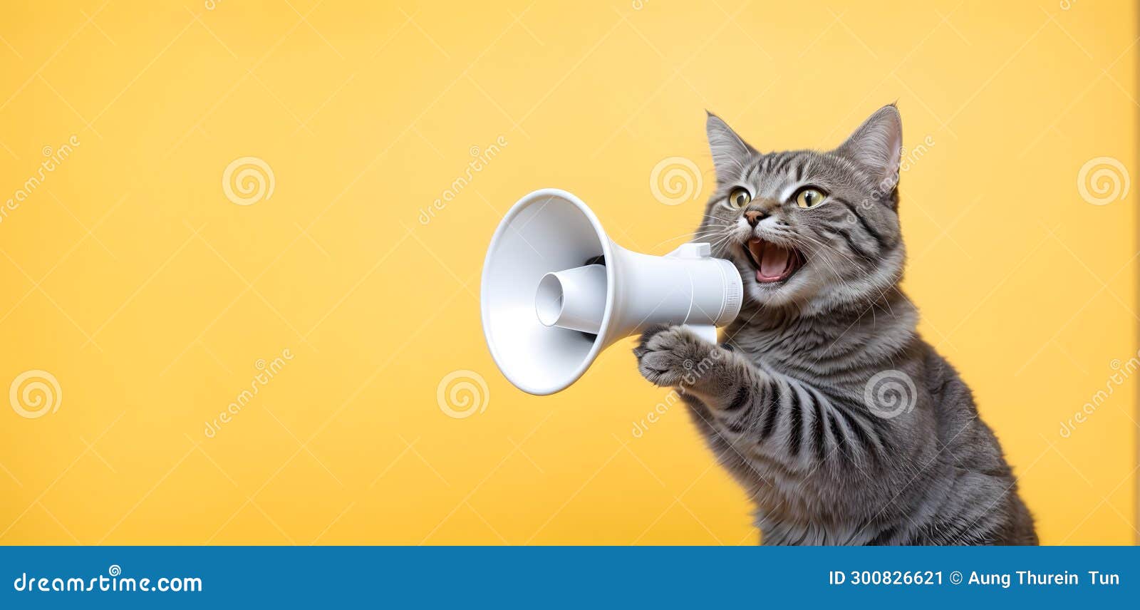 A Funny Cat Holding a Loudspeaker and Screaming Stock Image - Image of ...