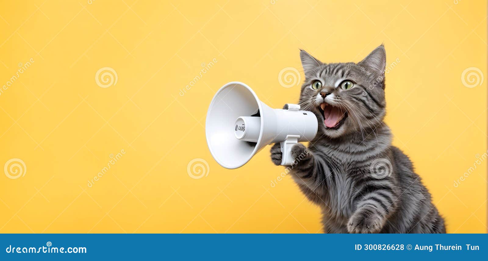 A Funny Cat Holding a Loudspeaker and Screaming Stock Photo - Image of ...
