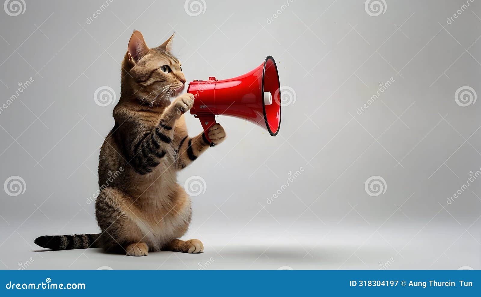 A Funny Cat Holding a Megaphone for Announcement Stock Image - Image of ...