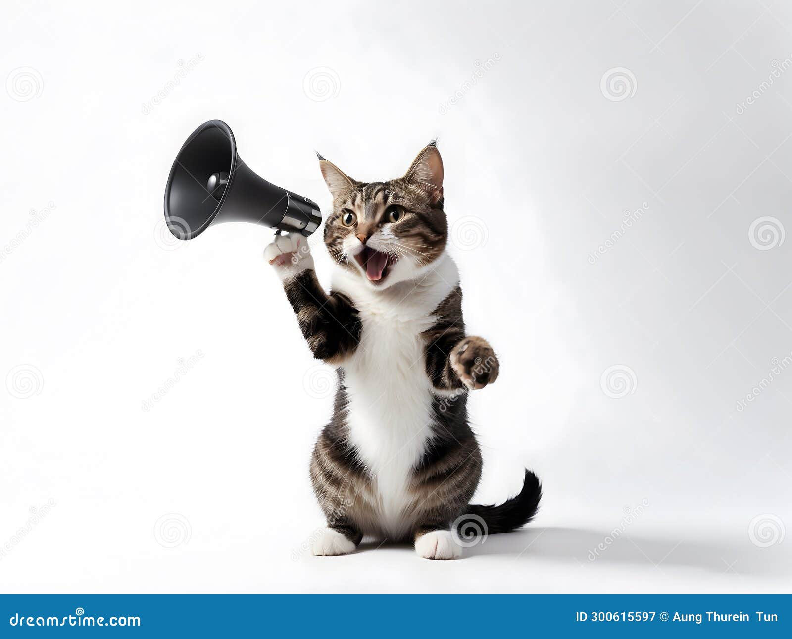 A Funny Cat with a Loudspeaker Stock Image - Image of mammal ...